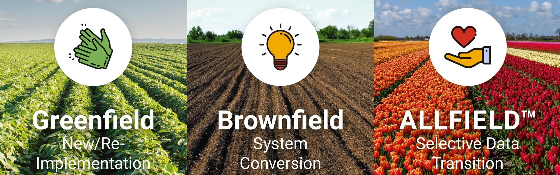 Greenfield, Brownfield oder doch besser Allfield?