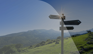 Von Navision zu SAP – ERP-Wechsler berichten aus der Praxis
